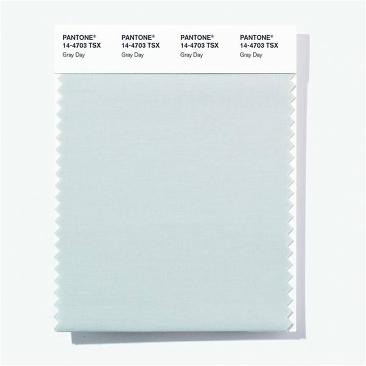 14-4703 TSX Gray Day - Polyester Swatch Card